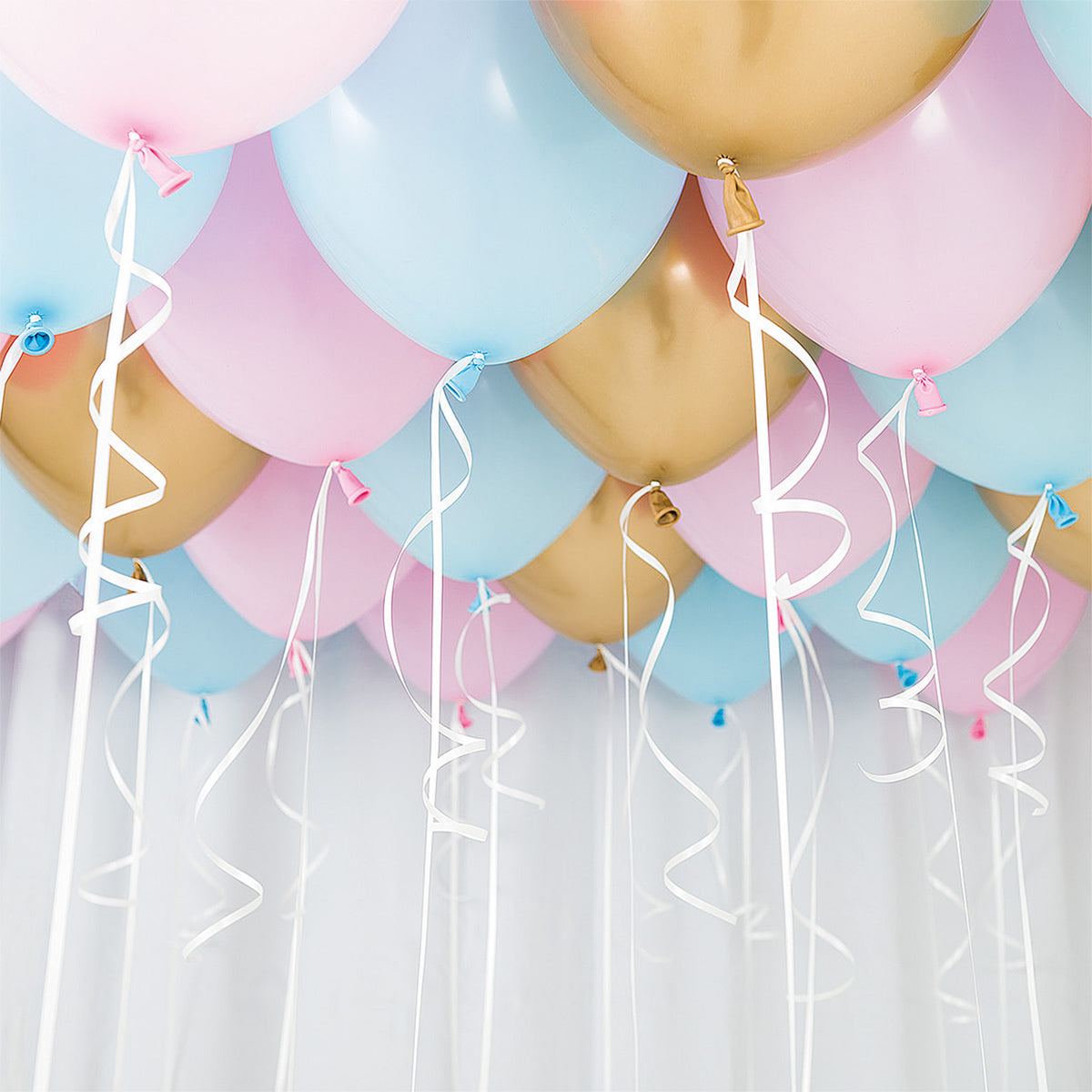 Balloons, Gender Party, Ceiling Kit – Partyland.is